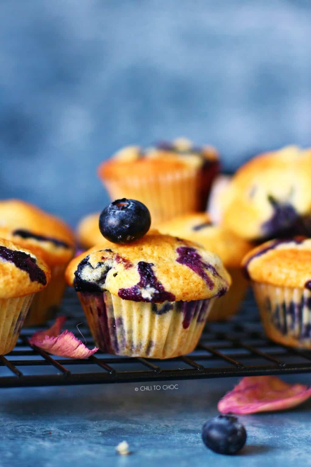Quick And Easy Mini Blueberry Muffins - Chili to Choc